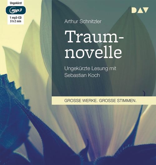 Traumnovelle von Arthur Schnitzler - Hörbuch | dtv Verlag